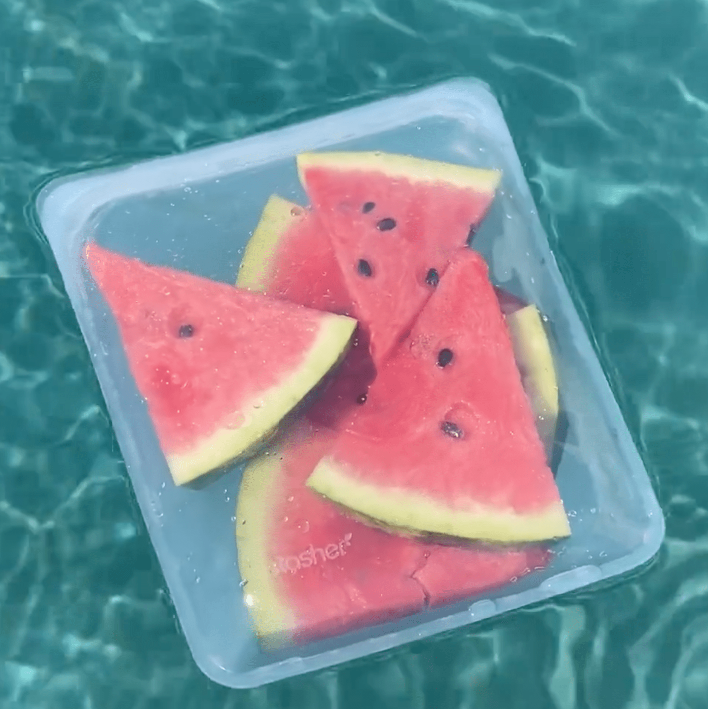 Fiambreras y Tuppers Sostenibles – Terra Zero Store